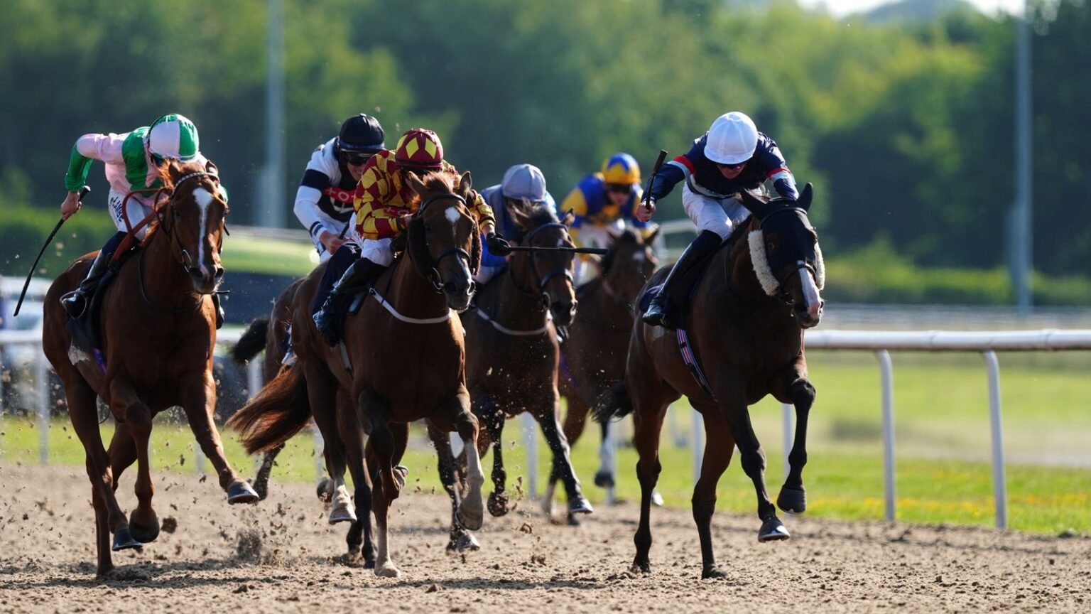Today on Sky Sports Racing: Plumpton and Wolverhampton meetings live on ...